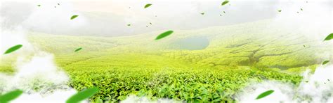 banner背景素材 banner背景图片 banner背景模板 设图网