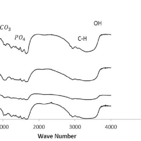 The Ftir Spectra Of Powders A Ha B 10 Mg Ha C 20 Mg Ha D 50 Download Scientific