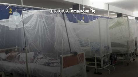 Piura reportan 12 fallecidos por dengue en la región