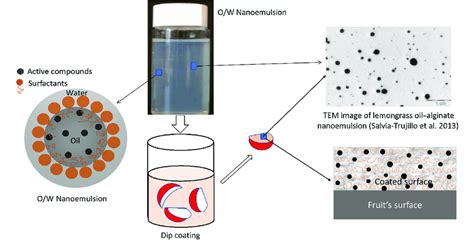 Nanoemulsion System For The Carrier Of Active Compounds With Potential