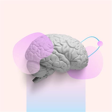 Schizophreniform Disorder Jerry Walker Therapy Services