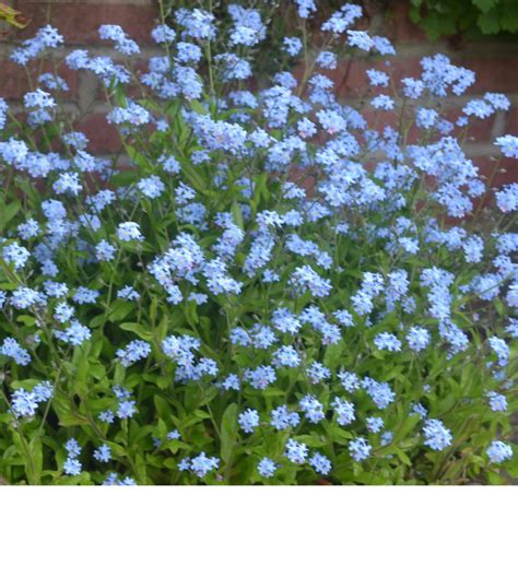 Lazy Days Of Summer Poem HubPages Lazy Days Of Summer Poem HubPages