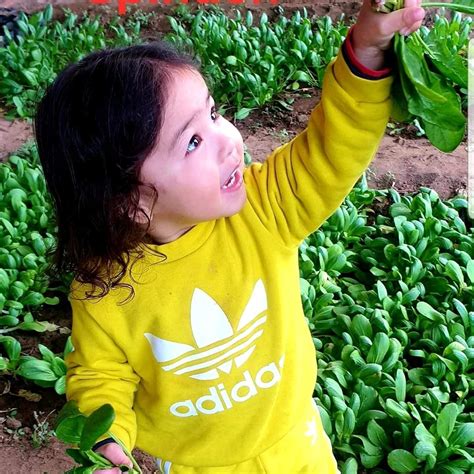 Мөнх Ногоон Амьдрал Home