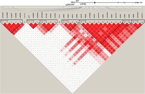 Ld Matrix Of The 39 Investigated Genetic Variants Within The ±100 Kbp