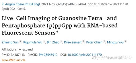 继续认识ppgpp 知乎