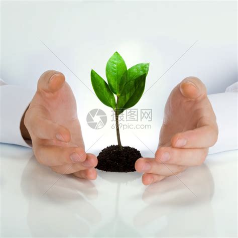 商人双手之间绿色植物的图像放在白桌子上的高清图片下载 正版图片504714597 摄图网