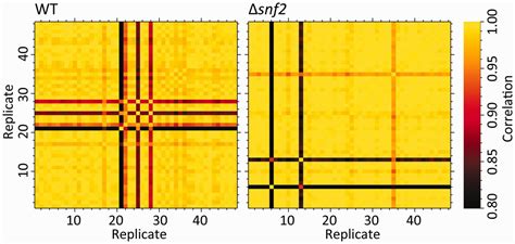 Deciphering Life One Bit At A Time