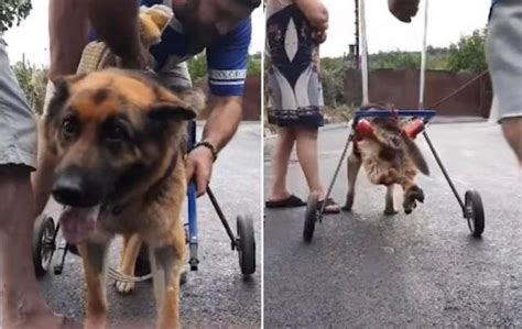 გაზეთ რეზონანსის ინტერნეტ პორტალი