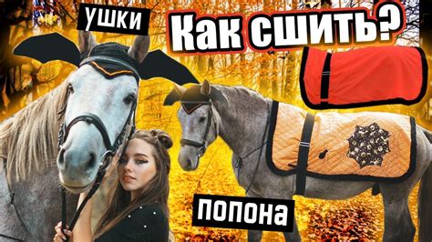 Как сшить вальтрап для лошади: пошаговая инструкция >> Лошади ...