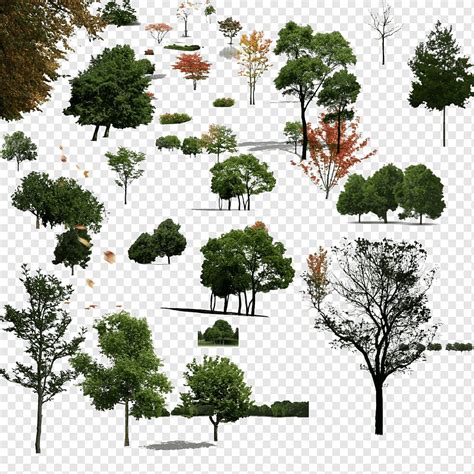 Green Tree Material Trees Shrub Leaves Png PNGWing