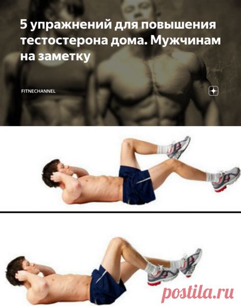 5 упражнений для повышения тестостерона дома Мужчинам на заметку
