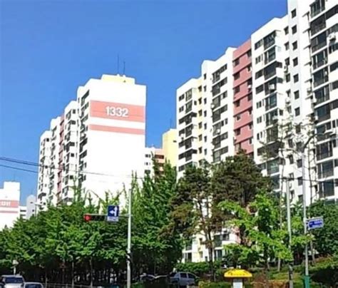 교육인프라 풍부한 신정동 목동신시가지13단지아파트 인기