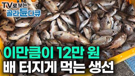 섬에서만 먹던 생선이 입소문 나면서 수요가 많아져도 여전히 저렴한 가격 말 그대로 배 터지게 먹는 생선｜회로 구이로 인기 만점 해산물｜만선 자리돔 잡이｜바닷가 사람들