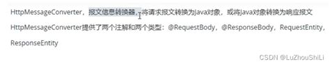 Java闭关修炼springmvc Meaasgeconverter Codebuug
