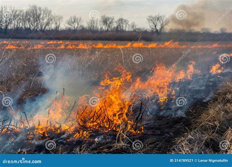 Grassland Fire Spreading With Intense Flames And Smoke Stock Image