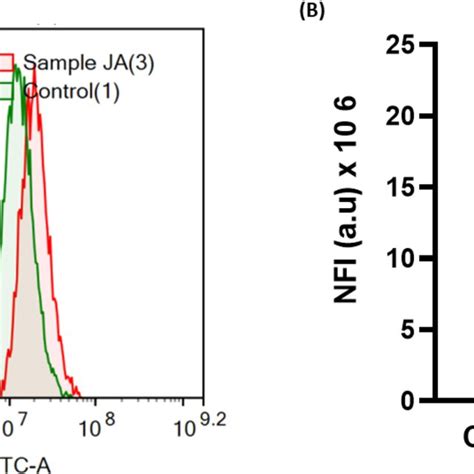 A Autophagic Cell Death Evaluation In Mcf 7adr Cells After Exposure