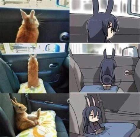 X Post From R Lostpause R Moemorphism