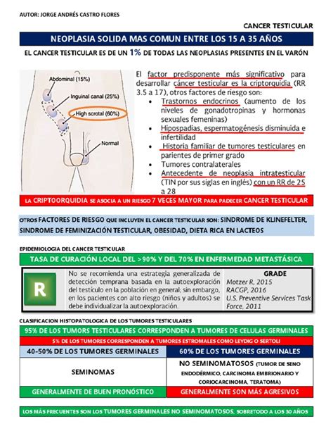 Cancer Testicular Pdf Cáncer Metástasis