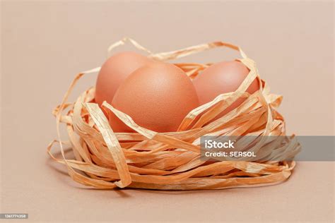 둥지에 닭 계란 균일 한 배경 부활절 개념에 격리 복사 공간 0명에 대한 스톡 사진 및 기타 이미지 0명 개체 그룹