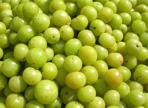 Health Benefits Of Amla Indian Gooseberry Hb Times