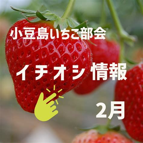 Strawberry Life