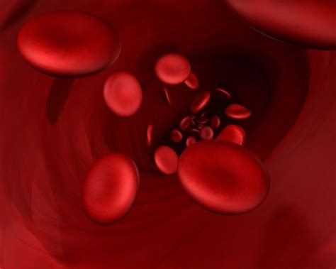 Why Do Blood Types Differ Live Science