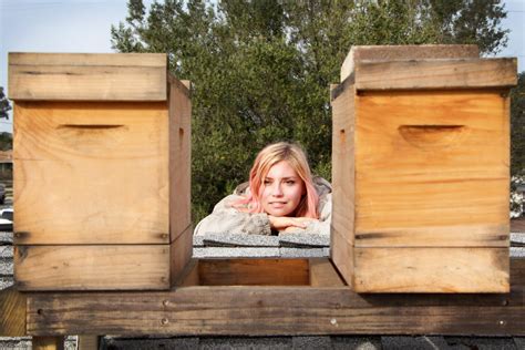 About The Author Beekeeping Like A Girl