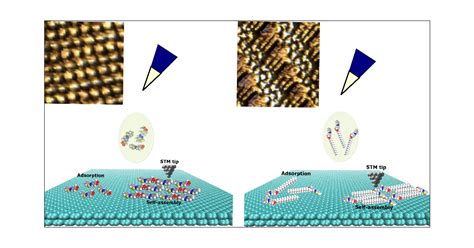 Two Dimensional Nanoarchitectonics With Fluorination And Alkylation On Photoresponsive