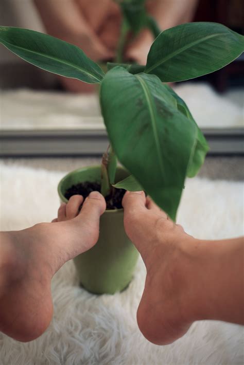 Nude With Baby Banana Tree Fun With Feet