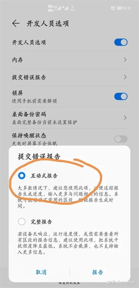 Mate40pro 提交错误报告没反应？（网站信息提交报错请马上处理） 果核剥壳