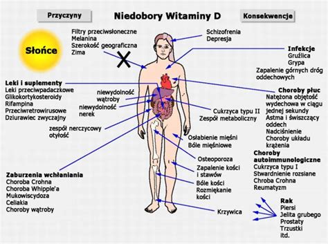 Jak witamina D i K wpływa na organizm faktów Motywator Dietetyczny