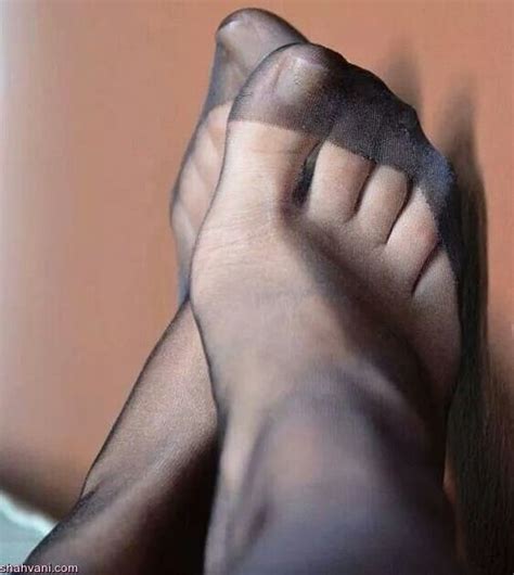 جمعی از فعالان عرصه جوراب