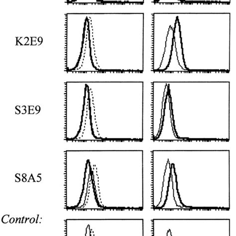 Il 12rβ2 And Il 18r Surface Expression On Mitogenically Stimulated