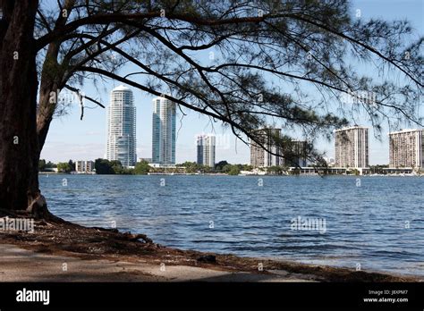Buildings Towers Structures High Tall Tree Branches Horizontal