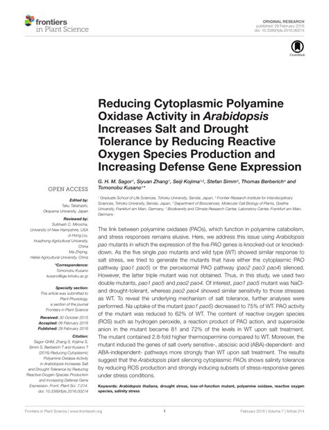 Pdf Reducing Cytoplasmic Polyamine Oxidase Activity In Arabidopsis