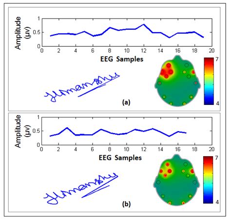Examples Of Data Samples From Two Different User A Online Signature