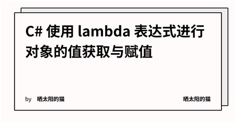 C 使用 Lambda 表达式进行对象的值获取与赋值 晒太阳的猫
