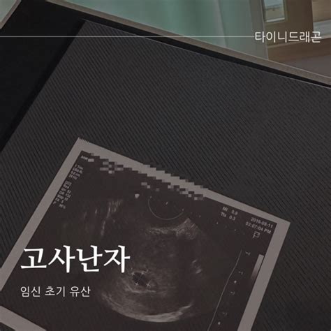 임신 초기 아기집만 있는 경우 고사난자 그리고 소파술 네이버 블로그