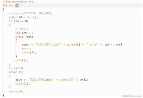 Linux 可重入函数 Volatile Sigchld信号 Csdn博客
