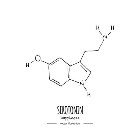 Serotonin Illustrations Royalty Free Vector Graphics And Clip Art Istock