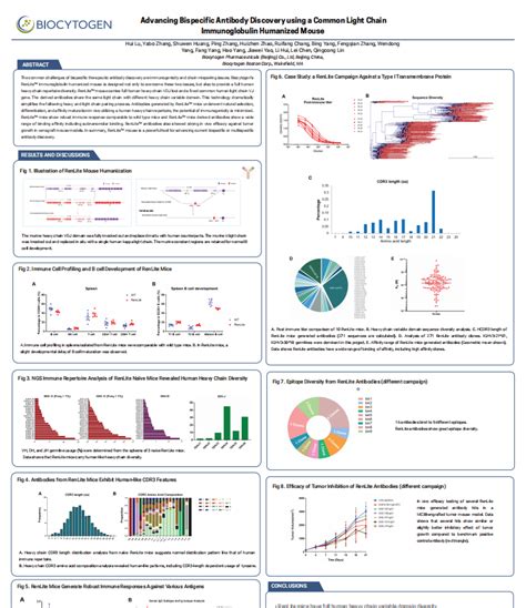 Advancing Bispecific Antibody Discovery Using A Common Light Chain Immunoglobulin Humanized Mouse