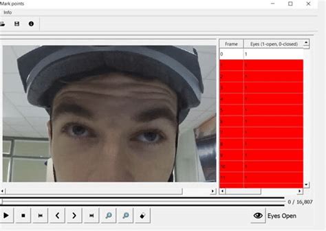 Eye Blink Analysis In Markblinks Programme Download Scientific Diagram