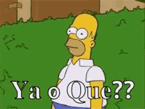 Hide The Simpsons  Hide The Simpsons Bush Discover And Share S