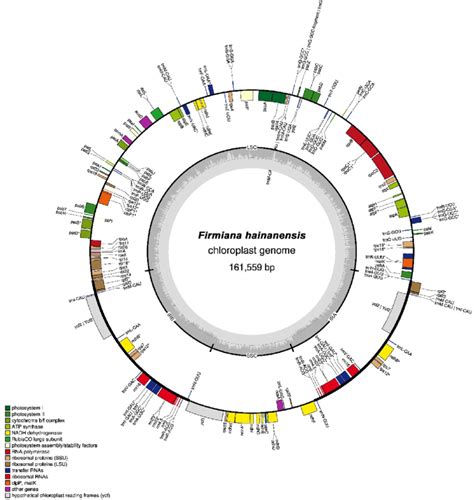 The Chloroplast Genome Map Of Firmiana Hainanensis Showing The Regions