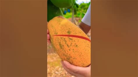 اللهم حبب الينا الايمان وزينه في قلوبنا وكر علينا الكفر والفسوق