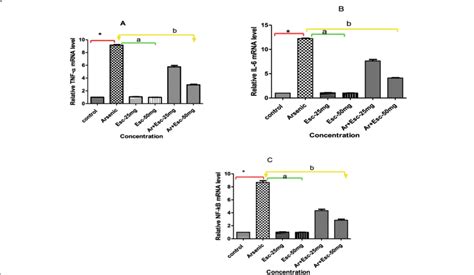 Effect Of Esculetin On Cell Viability In H9c2 Cell Line The Viability