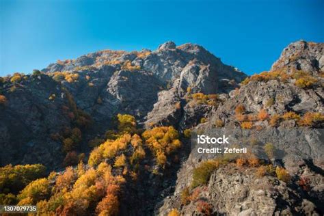 일몰에 아스팔트 산악 도로와 다채로운 가을 숲과 놀라운 전망 가을에는 빈 도로 나무 햇빛이 있는 아름다운 풍경 여행 배경 자연