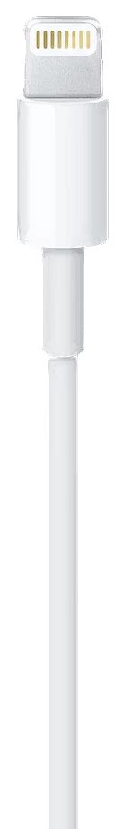 Mockup Generator And Animator 3d Rotato