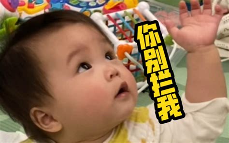她认真起来的样子真的好好笑 村花陈不叮 村花陈不叮 哔哩哔哩视频