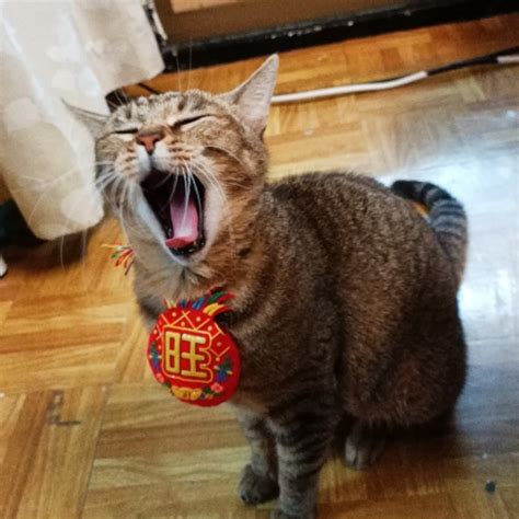 謙之語 Podcast Platforms Flink By Firstory